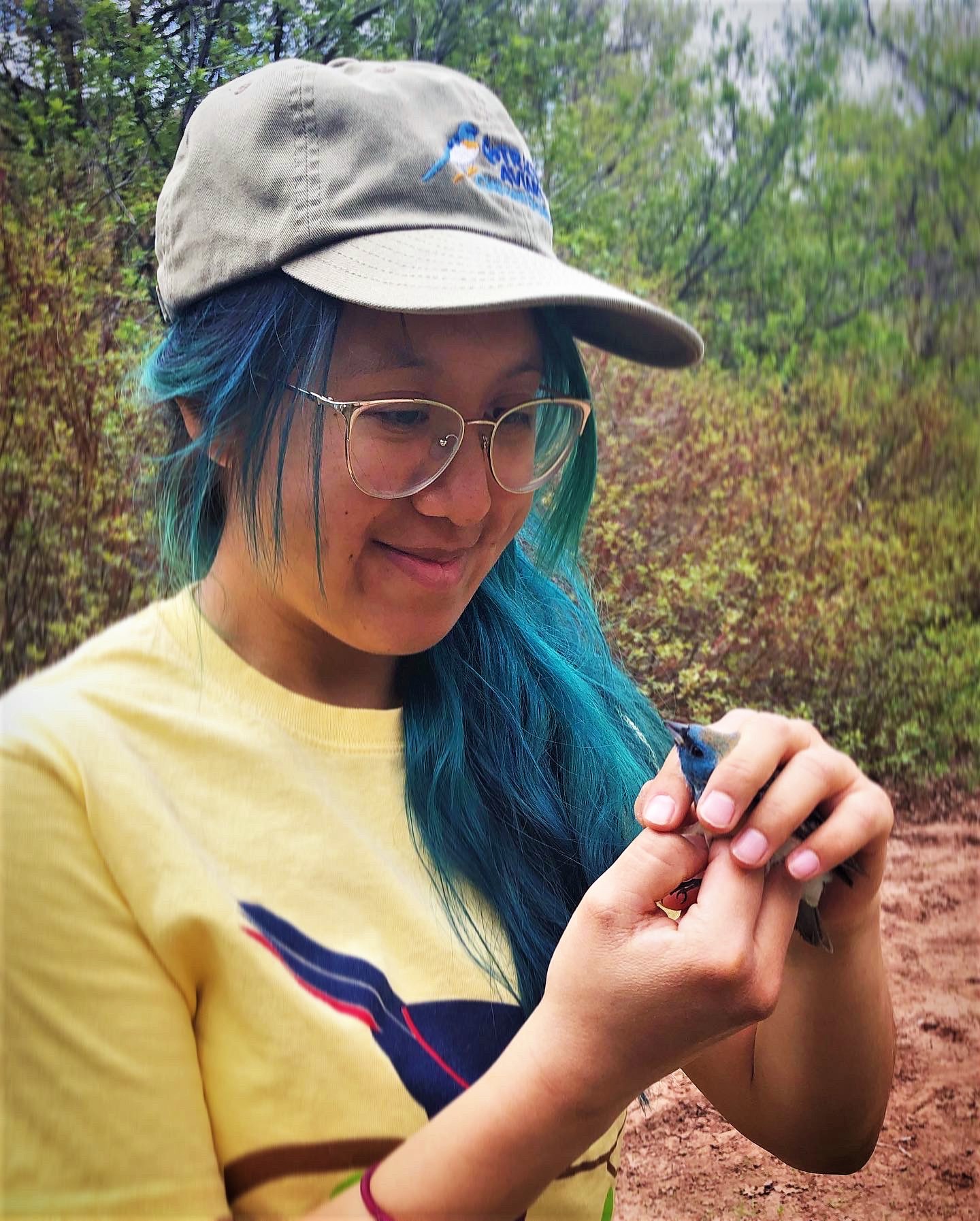 Tiny Zoologist Illustration